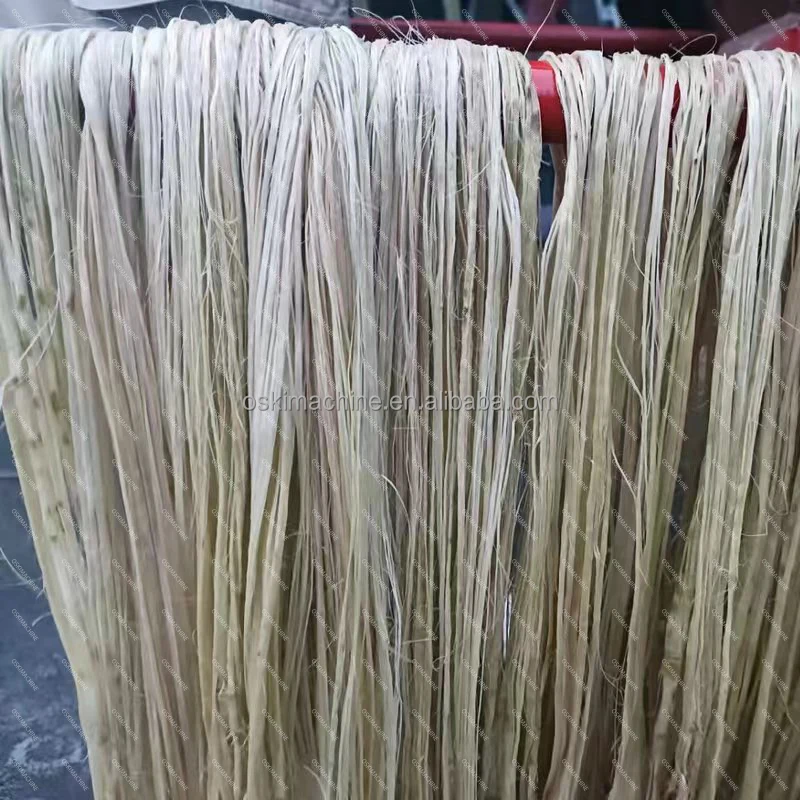 Hemp Sisal Fiber Extraction - Efficient Decorticator Machine