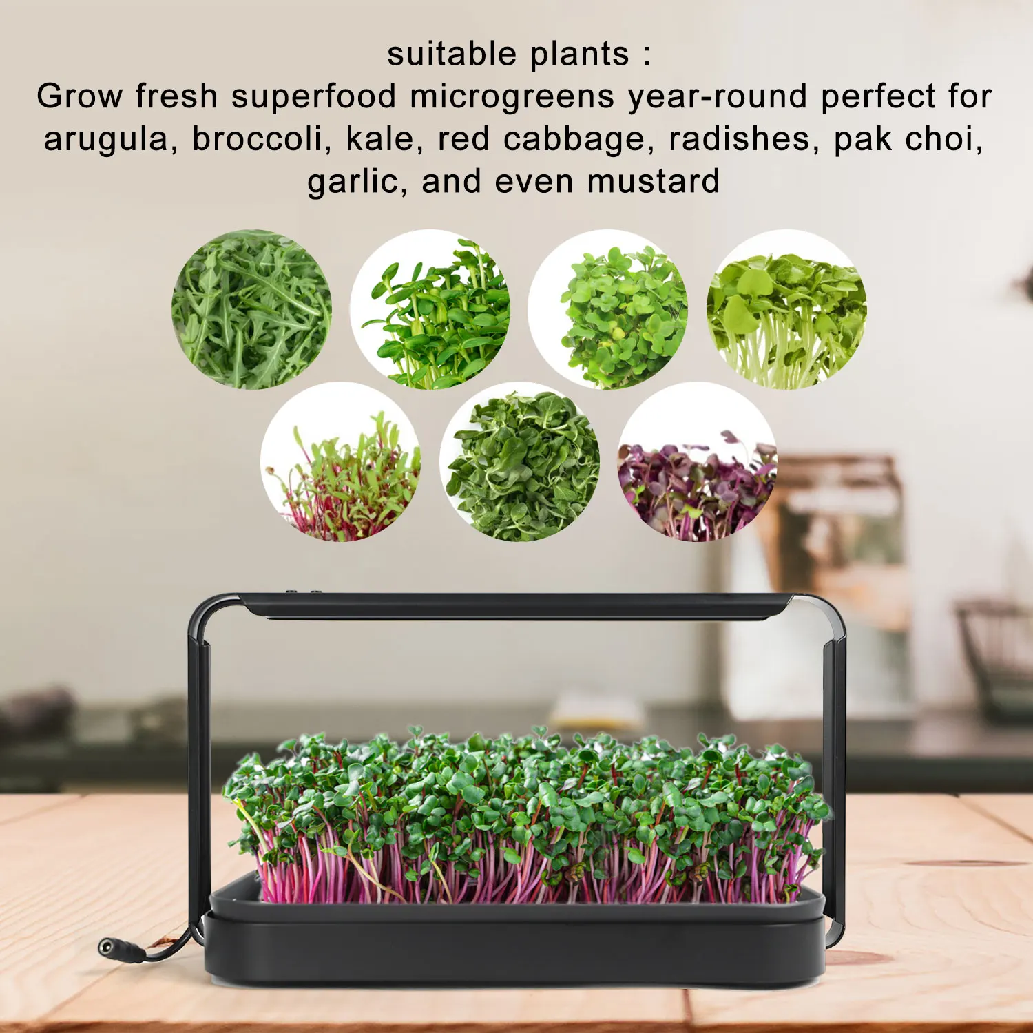 Planters Sprouts And Microgreens Herbs Grow Germination Kits Smart ...