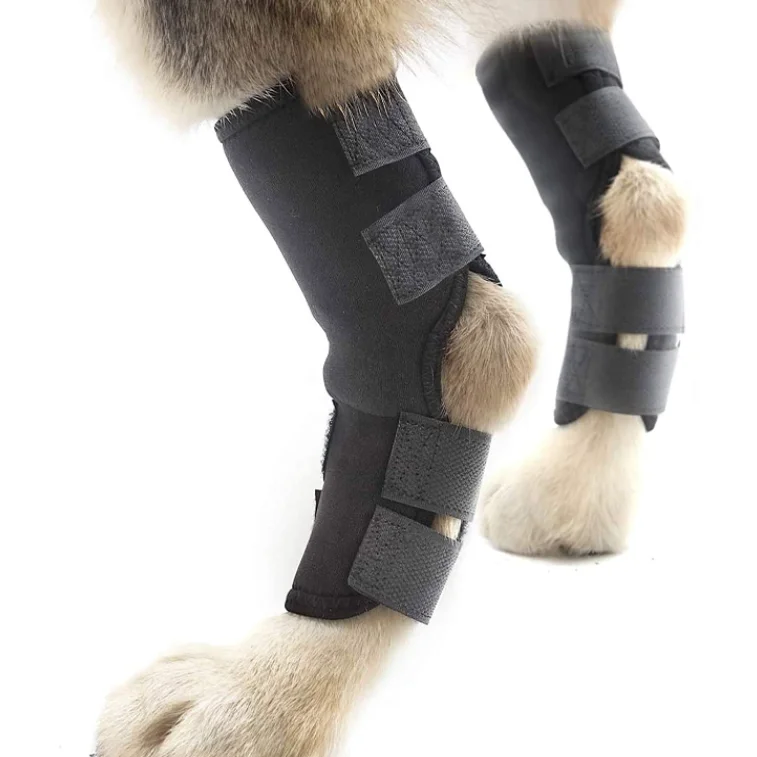 Factory Wholesale Dog Rear Leg Braces High Quality Joint Wrap Knee ...