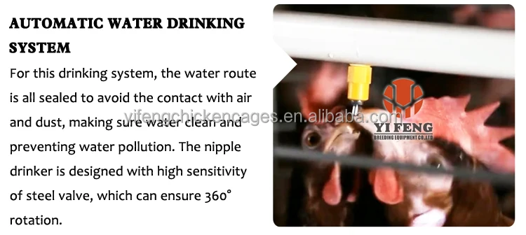 Good Price Automatic Poultry Farm A Type 5000 Birds Laying Hens Battery ...