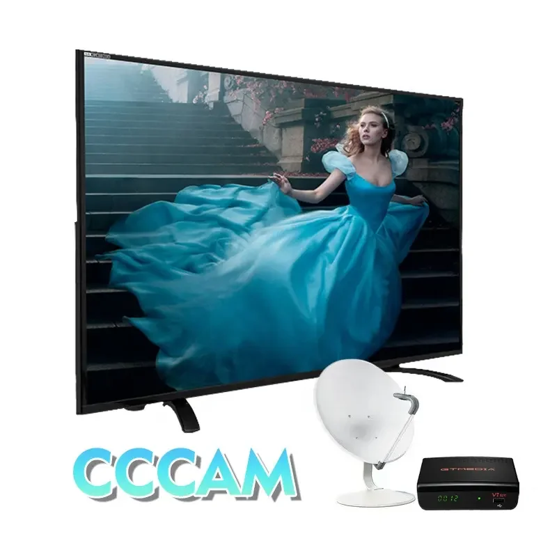 2023 Icam Cccam 7 Lines Europe Canal+ Poland Tvp 4k Cccam Egygold 1 Year Oscam For Poland ...