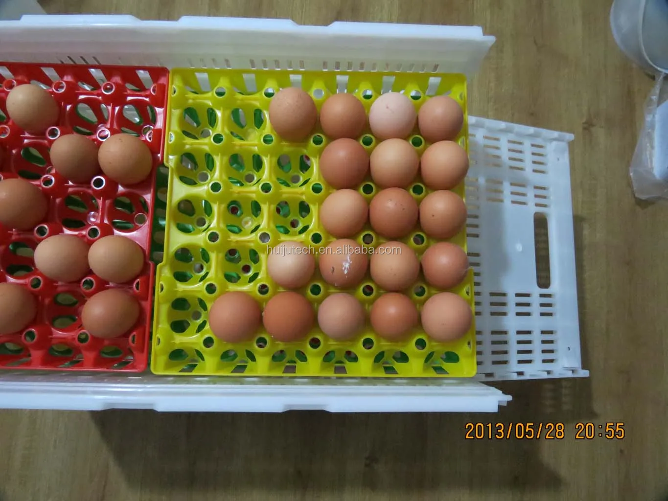 Foldable Plastic Egg Transport Crate - Durable & Versatile