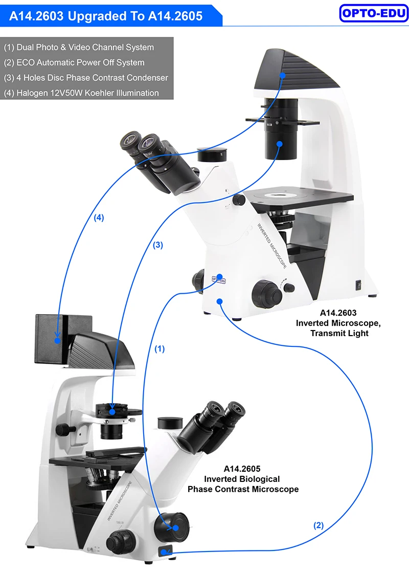 OPTO-EDU A16.2614-L2 400X EPI BG Professional Inverted Fluorescent ...