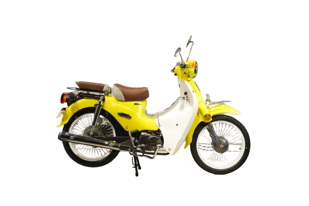 Chopper Motorcycle 100cc - Fun and Thrill on Two Wheels