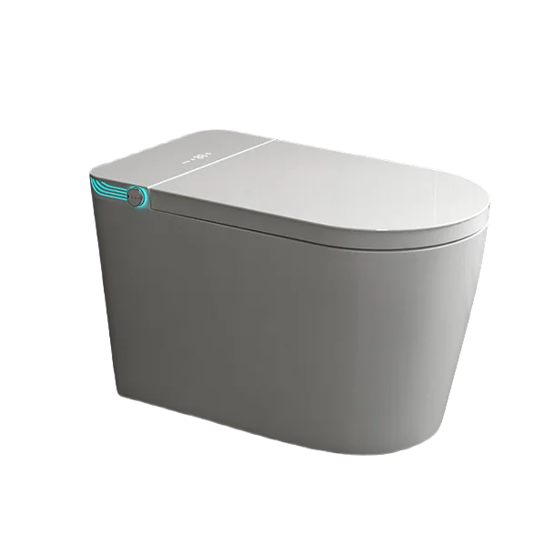 Smart Automatic Sanitary Ware Water Closet Intelligent Closestool Floor ...