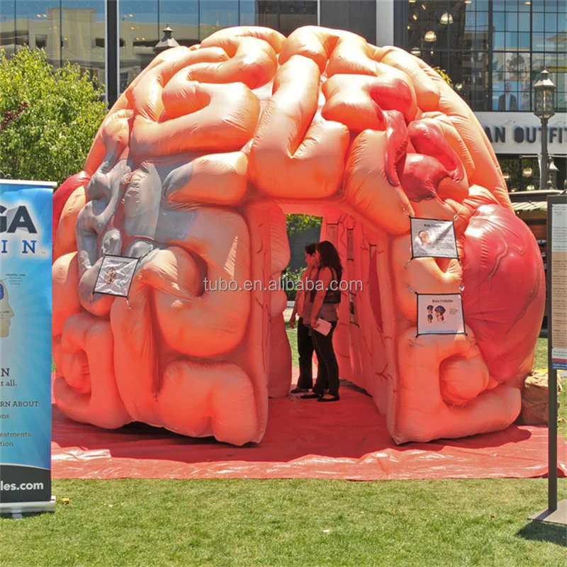 Giant Inflatable Brain Organ for Outdoor Events - Promote Learning