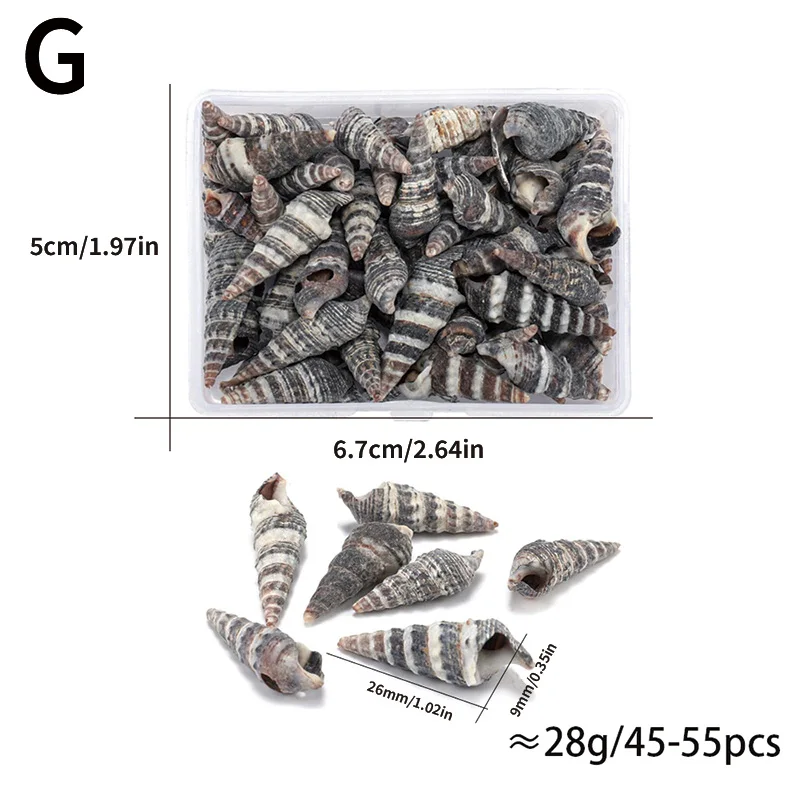 Extra Tiny Mix Sea Shells,Very Small & Clean,28 G Apprx. 110-120 Pcs+ ...