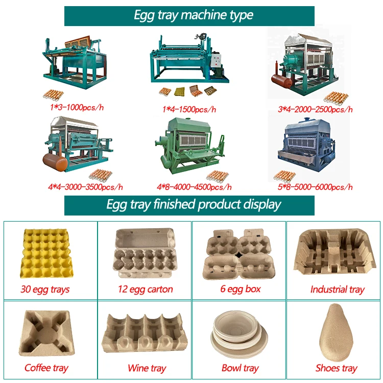 Egg Tray Machine 1000pcs - High Automation & Quality