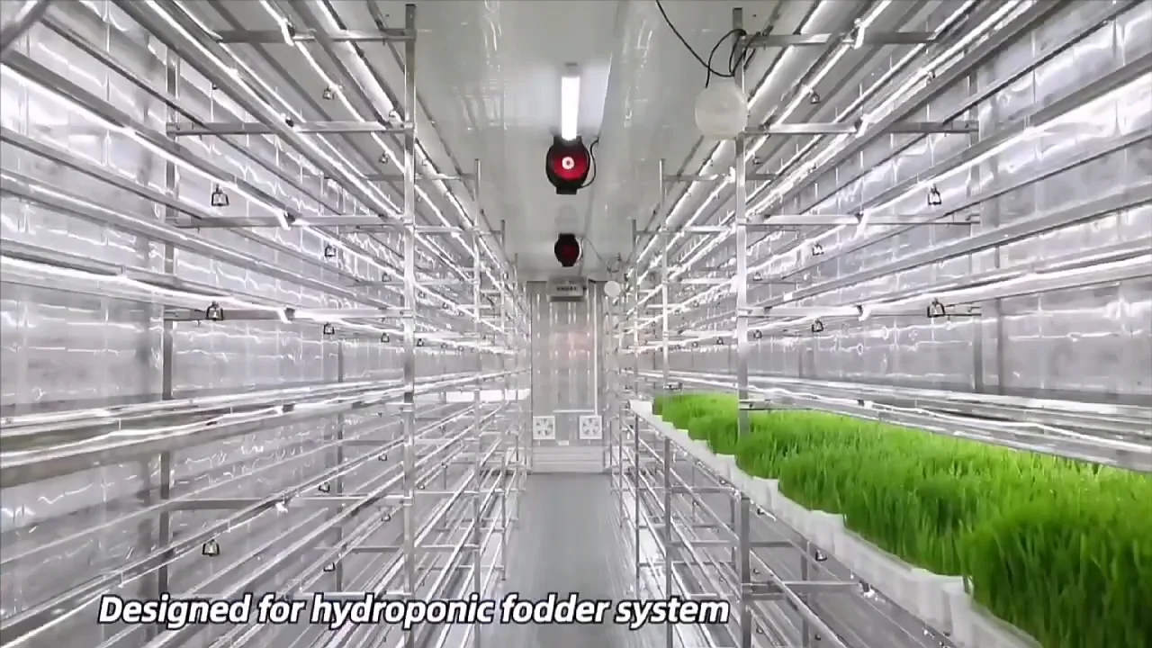 Shipping Container Farm Vertical Farming System Hydroponic Fodder Grass ...
