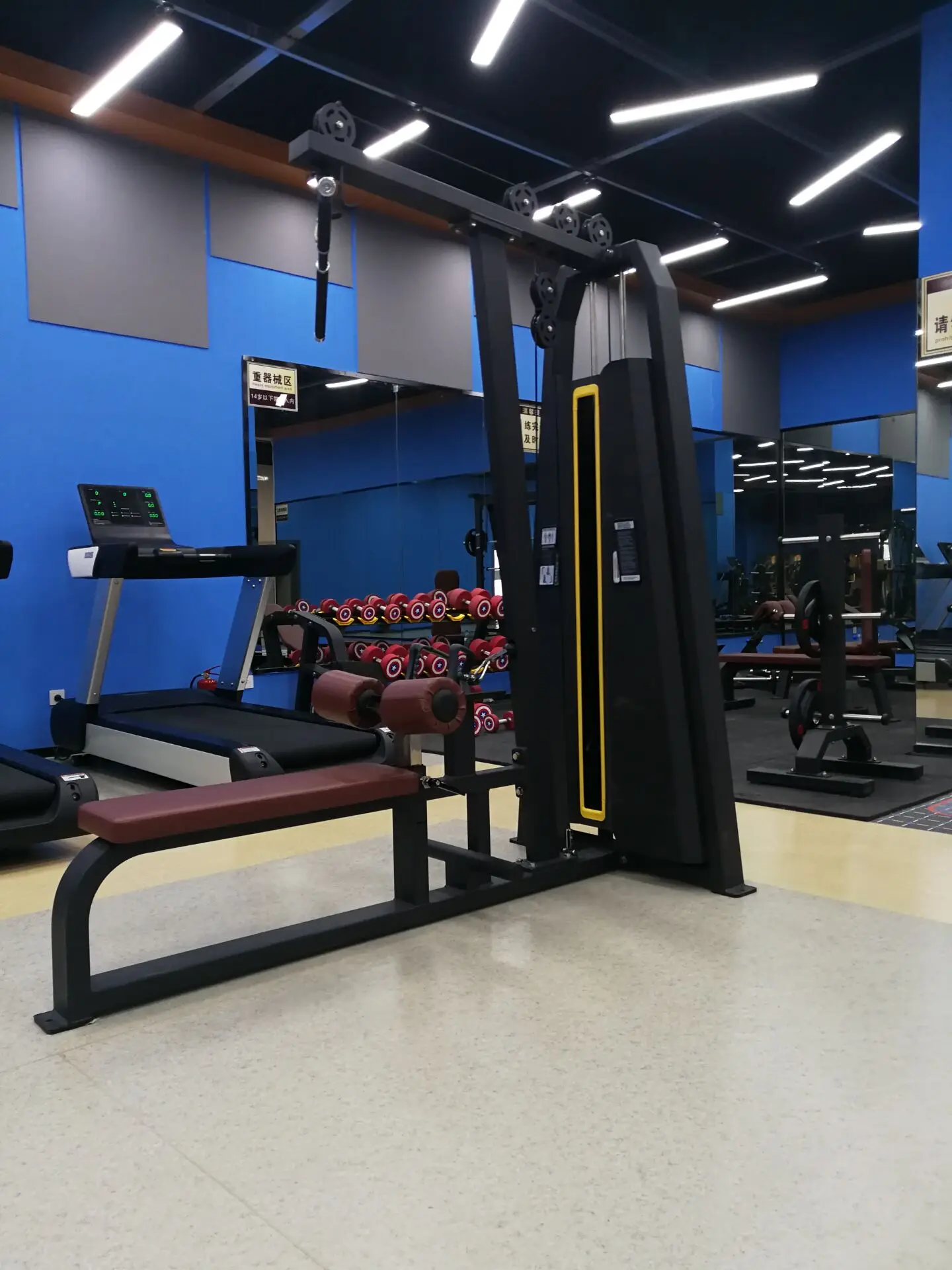 Bodybuilding Exercise Commercial Use For Gym Pin Loaded Fitness ...