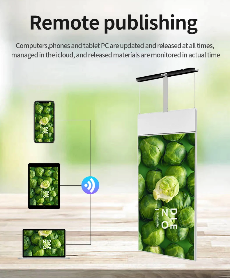 Double Side Dual Digital Window Display Signage Vertical Transparent ...