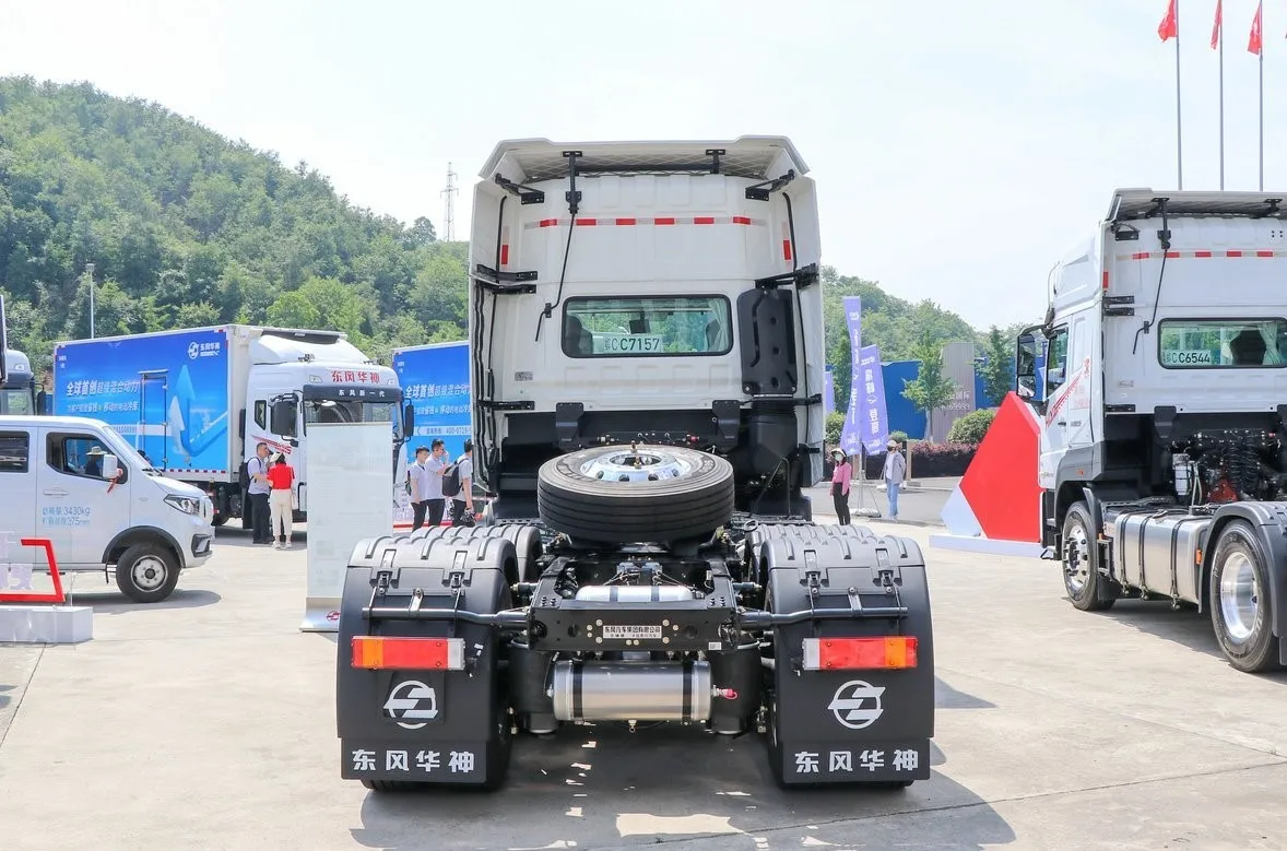 Dongfeng Vasol 4x2 500hp Diesel Cargo Truck for Logistics