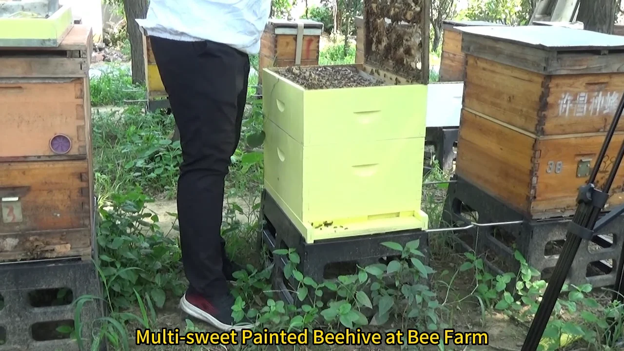 2023 Painted Bee Hives Wooden Langstroth Beehive - Buy Langstroth Beehive,Painted Bee Hives,2023 ...