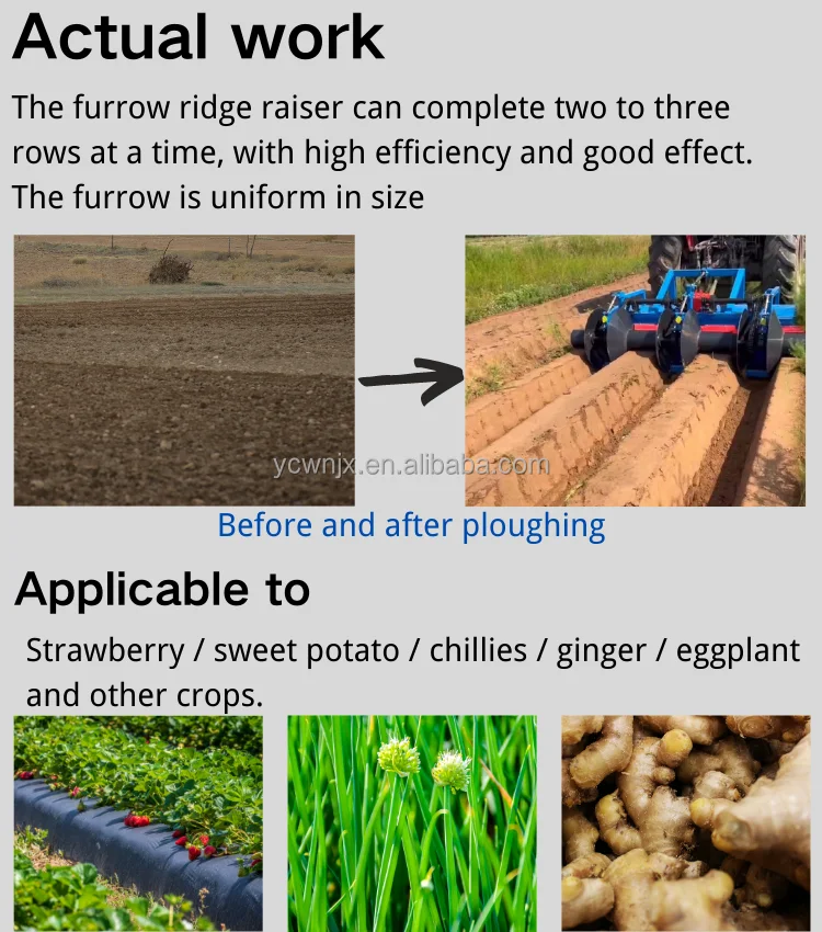 Tractor Installation of Vegetable Planting ridge Machine Strawberry ...