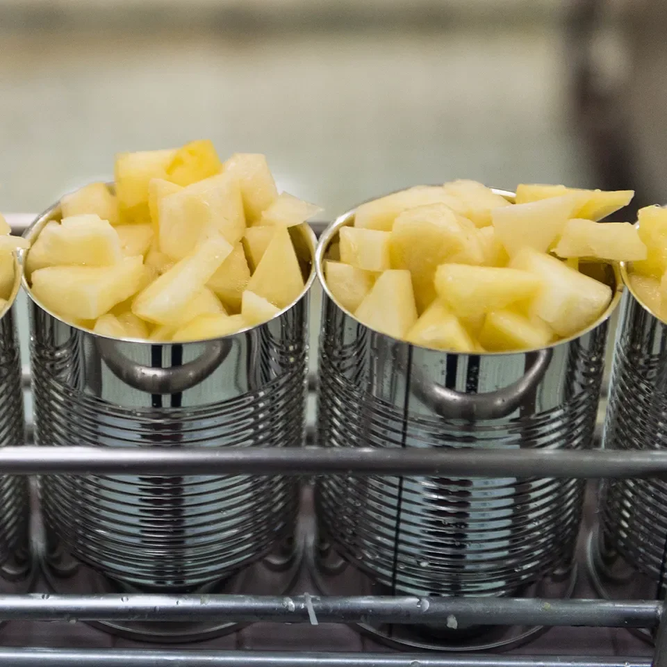 Alibaba.com: LWT Automatic Pineapple Processing Line, CE/BV/ISO ...