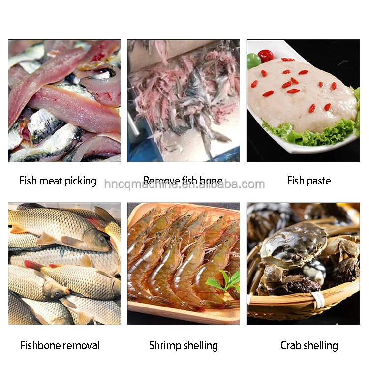 Efficient Fish Bone Removal with Automatic Deboning Machine