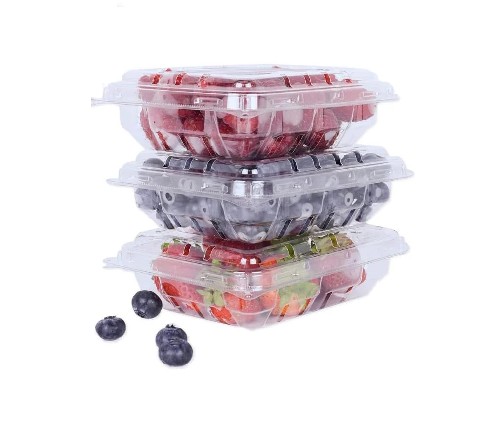 Custom Perforated Plastic Blueberry Clamshell Container Pet Fresh Fruit ...