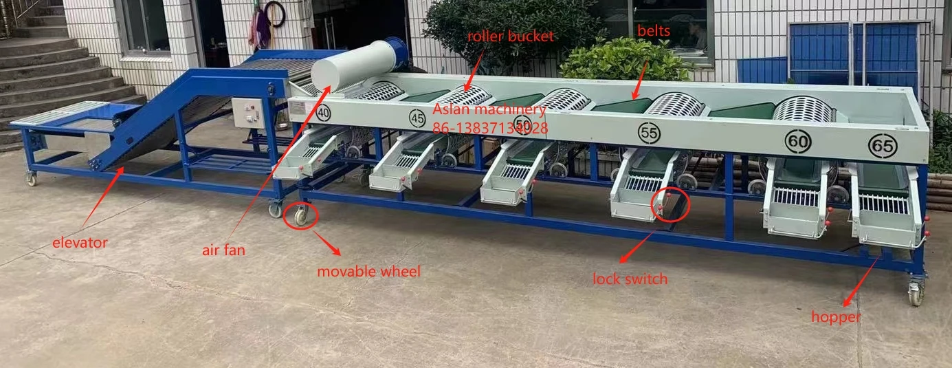 Roller Type Onion Garlic Size Grading Grader/garlic Onion Sorting ...