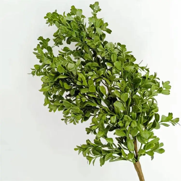 Boxwood Apray Artificial Green Artificiel Plant Boxwood Stems| Alibaba.com