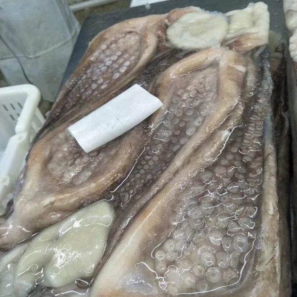 Get Price Now Frozen Giant Octopus – Premium Quality, Gutted, 3KG-5KG ...