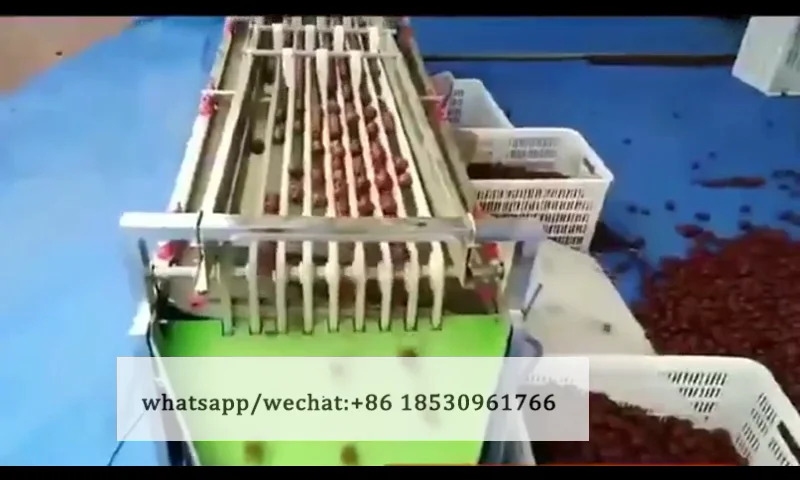 Automatic Vegetable And Fruit Onion Grading Machine Carrot Potato Size ...