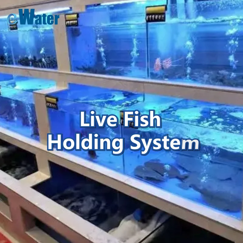 Live Fish Stocking Farming Tank Seafoods Holding System For Mini Ras ...
