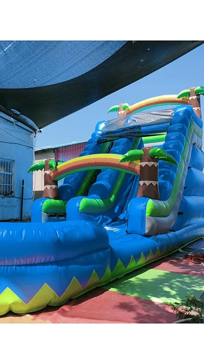 Pvc Dry Cheap Commercial Waterslide Commercial Inflatable Alien Water ...