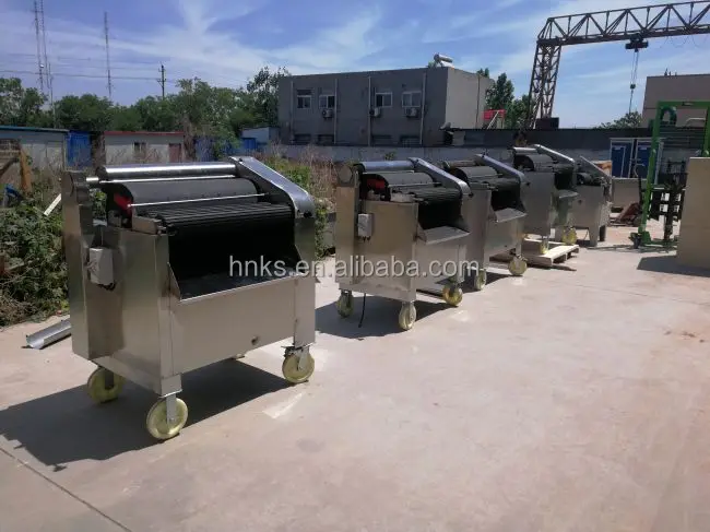 Pork Intestine Casing Cleaning Machine - Efficient & Durable