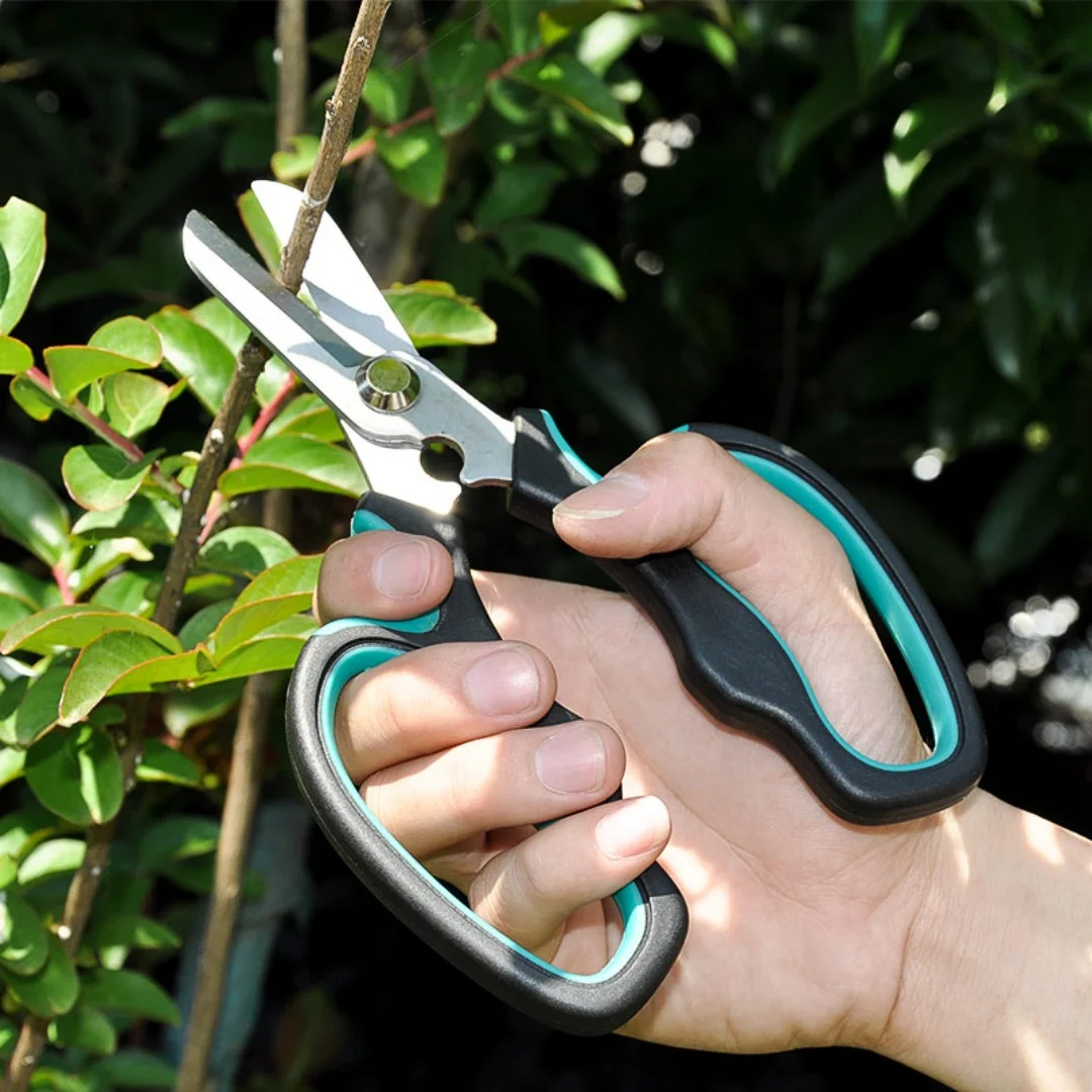 Gartenkraft Small Stylish Garden Scissors Trimming With Special ...