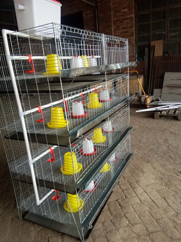 H Type 45 Days Baby Chicken Cage/ Brooder/ Day Old Layer Chick Cages ...