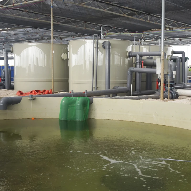 Ewater Salt Water Recirculating Aquaculture System Equipment,Ras Prawn ...