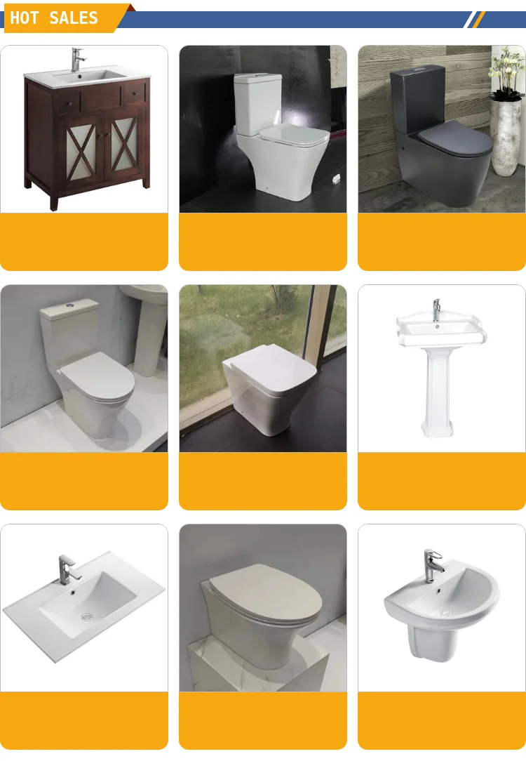 Wall Mounted Toilet Concealed Cistern With Matte Chrometoilet Sanitary ...
