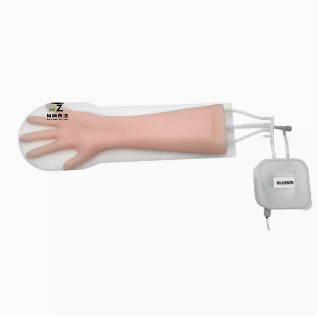 B-ultrasound Arteriovenous Fistula Training Model for Percutaneous ...
