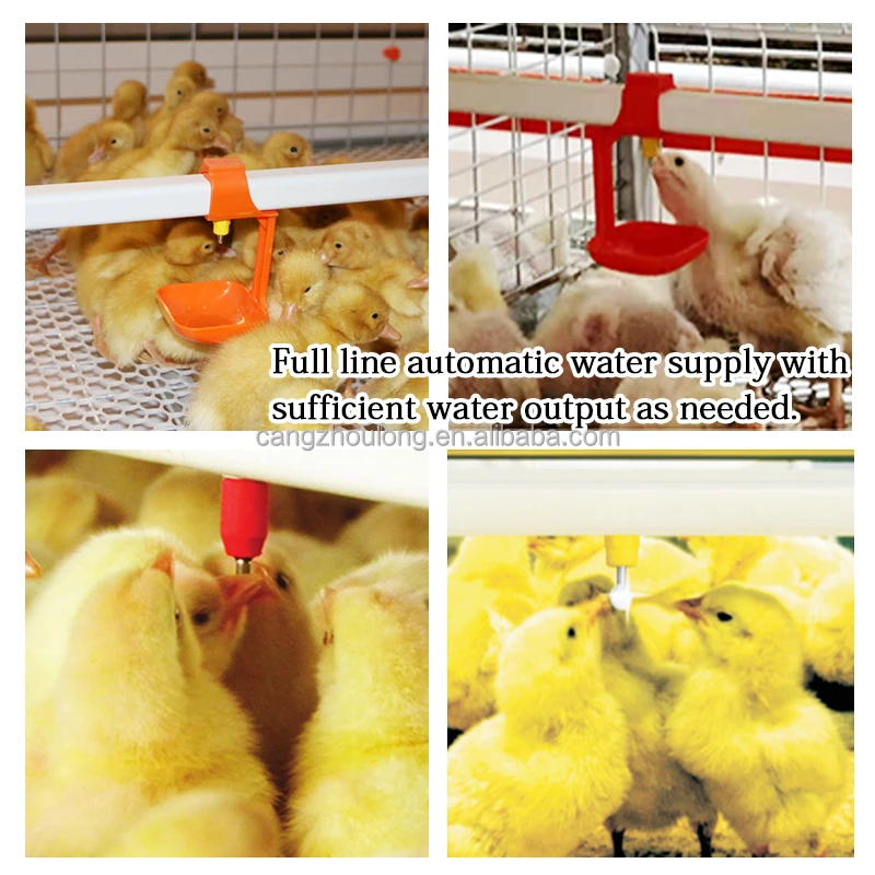 ZB LM 10 Poultry House Farming Drinker Line System Water Broiler ...