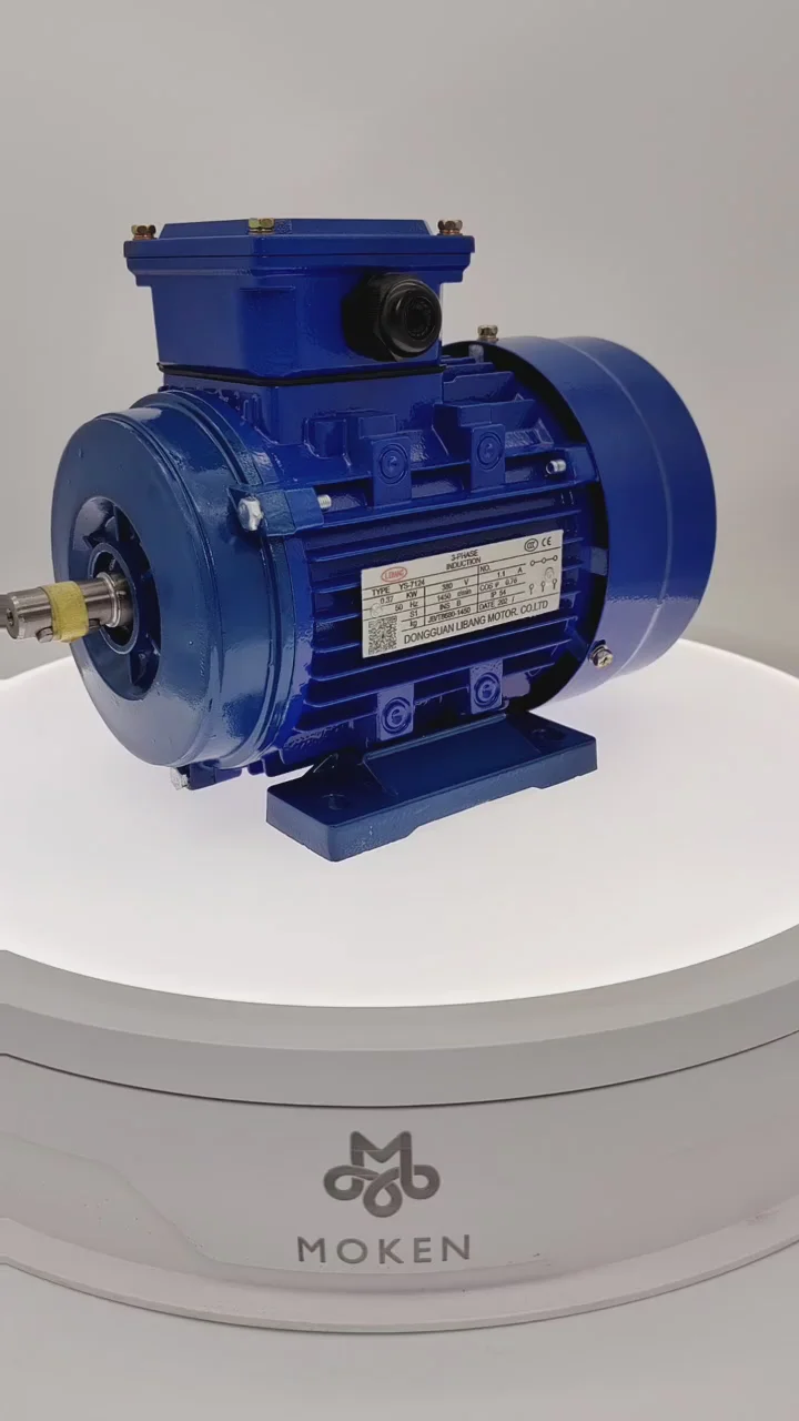 Ys/ms 1hp 2hp 3hp 5.5hp 10hp Ac Single Phase Electric Motors 110/220v ...