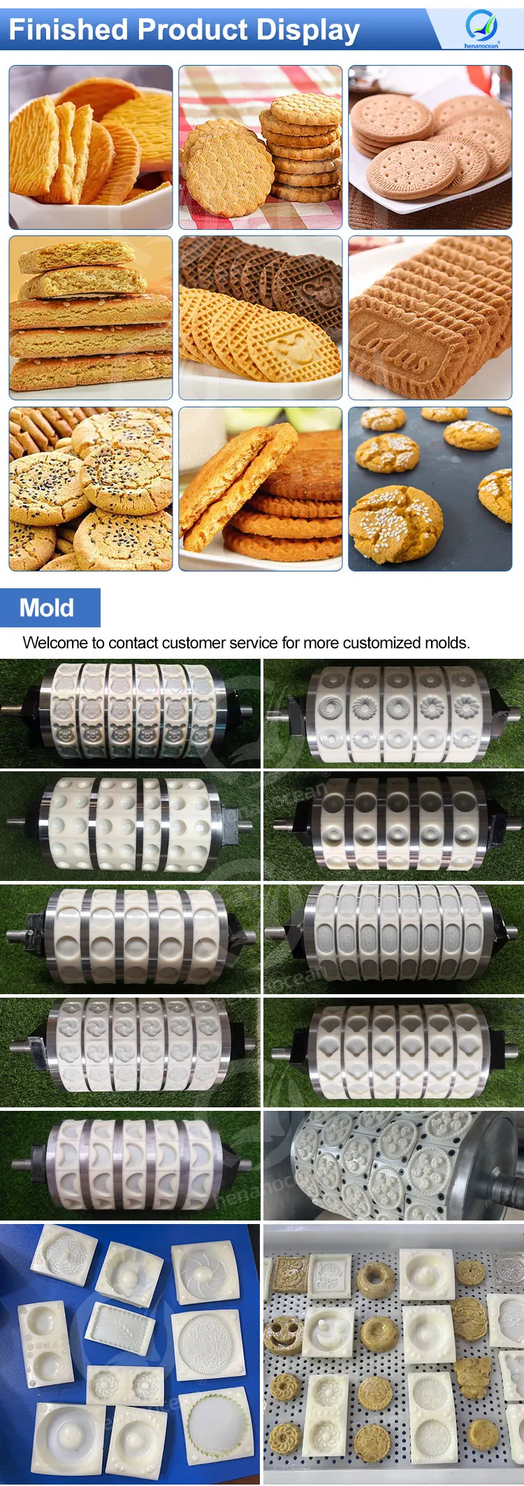 OCEAN Walnut Biscuit Machine - High Productivity & Quality