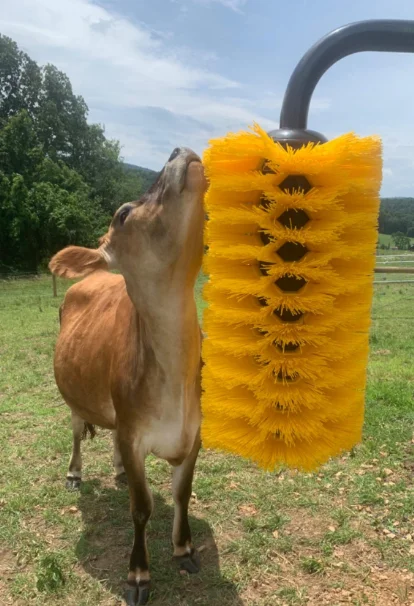 Farm Equipment - Electric Cow Brush for Automatic Massage