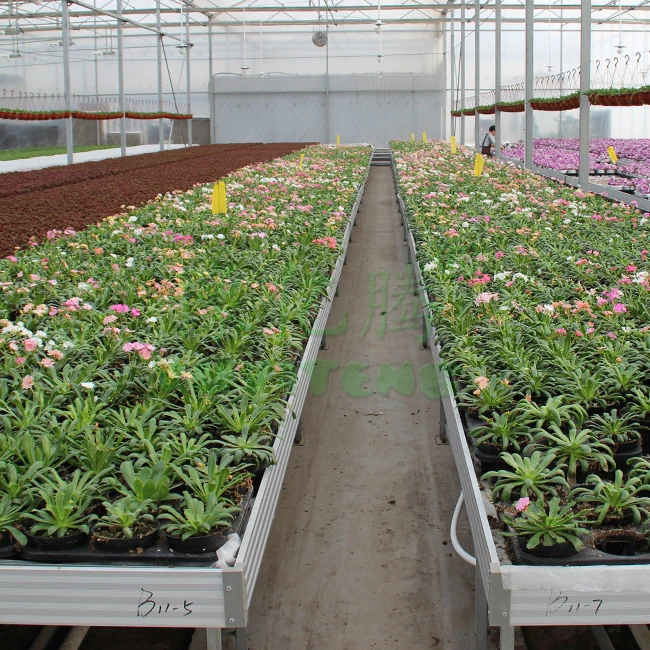 Greenhouse 4x8 Flood Rolling Bench - Hydroponic Growing Table