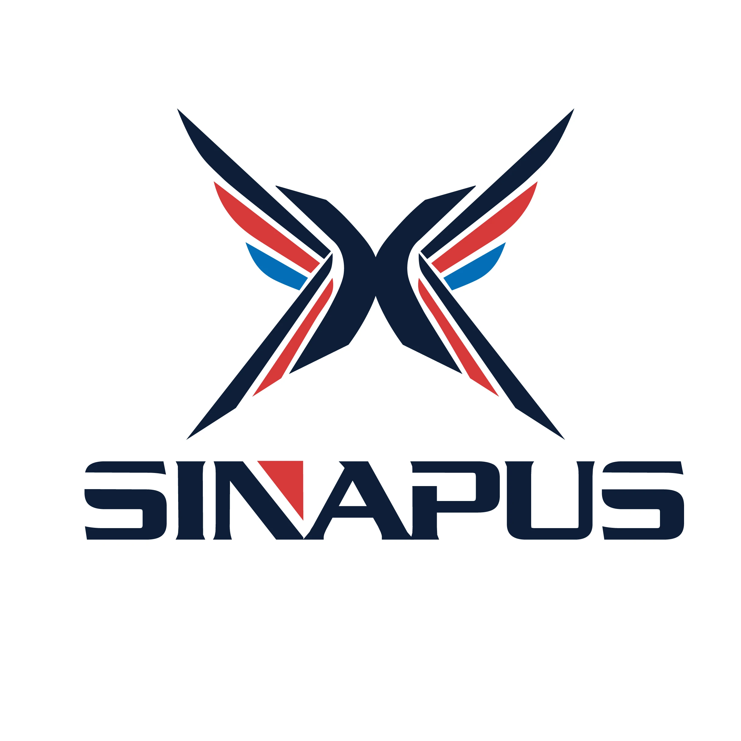 Company Overview - Shenzhen Sinapus Technology Co., Ltd.