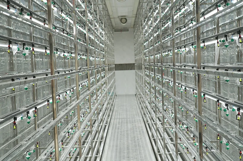 Vertical Hydroponic Barley Growing Shipping Container Farm
