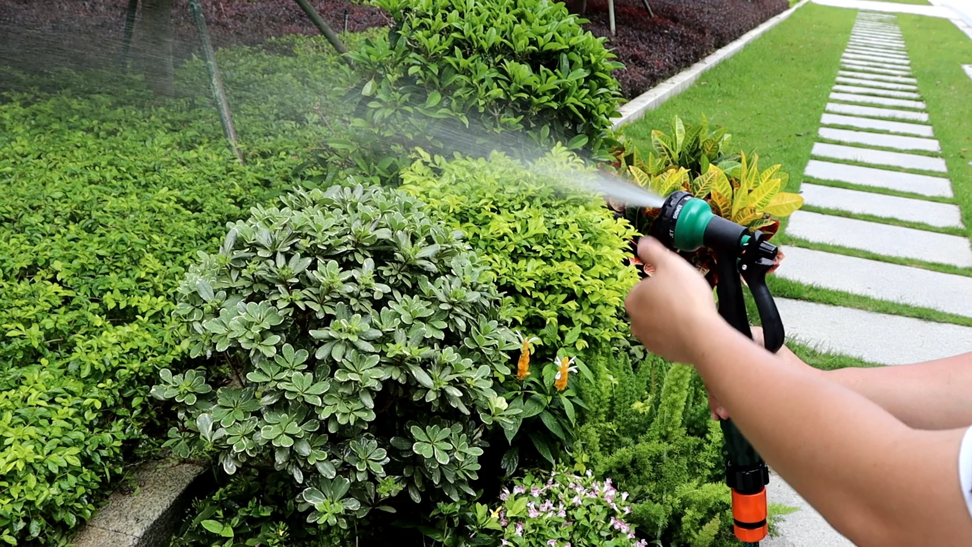 Sunshine New Design Water Sprayer Gun Agricultural Irrigation Mist ...