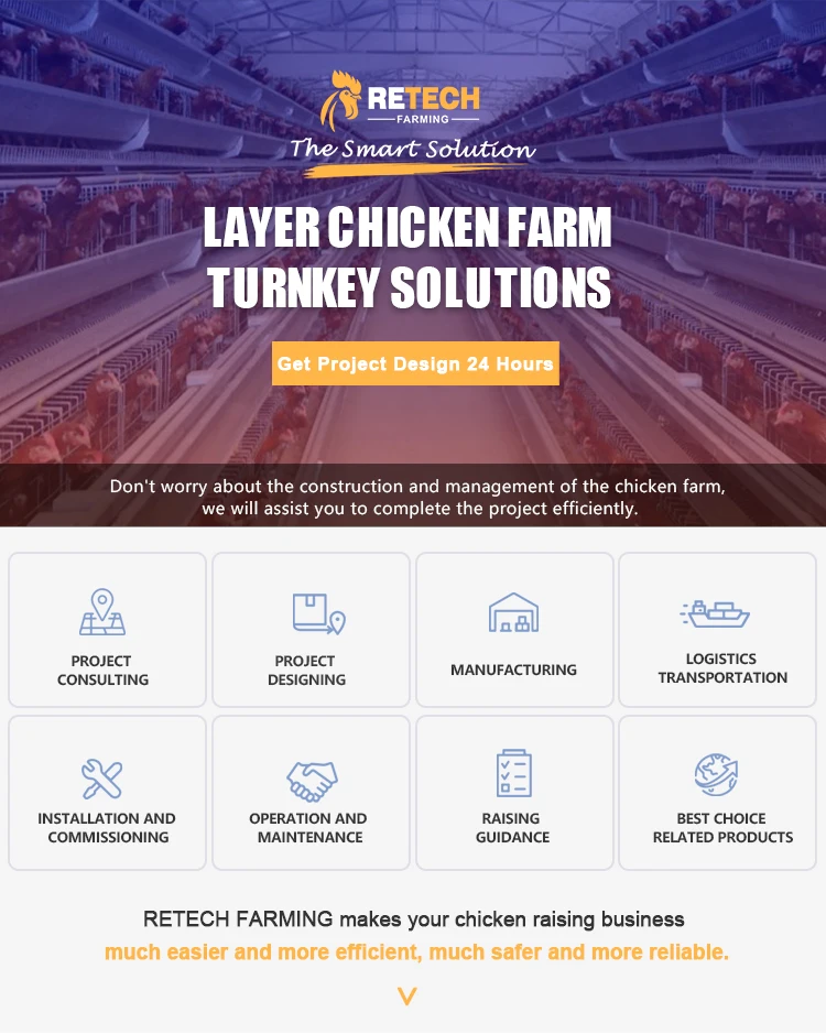 Modern Design Chicken Poultry Shed Layer Cage Laying Egg Hens Chicken Cage