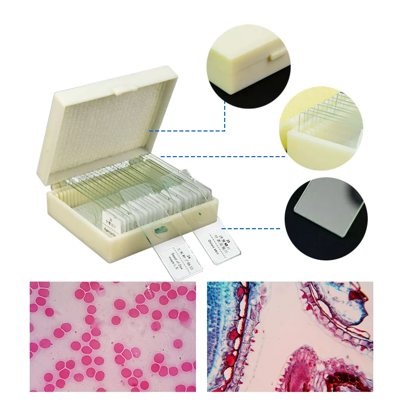 Teaching Resources Mammalian Histology Slides Slides Prepared With A ...