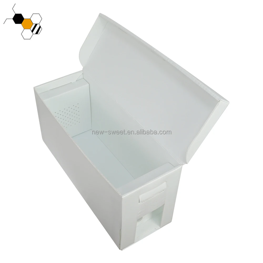 5 Frames Plastic Nuc Box Queen Rearing PP Nucleus Hive Plastic Nuc Bee ...