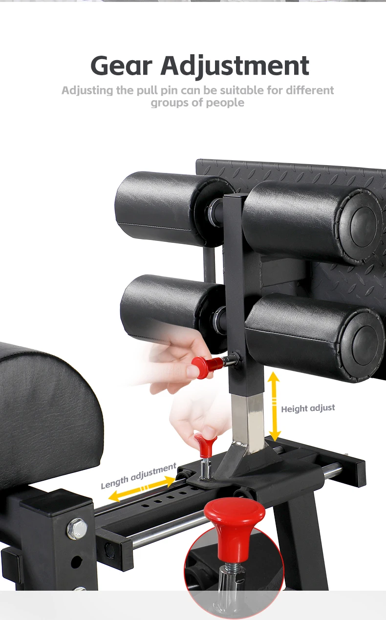 Rectus Abdominis Muscle Exercise - Prone Reverse Leg Lift