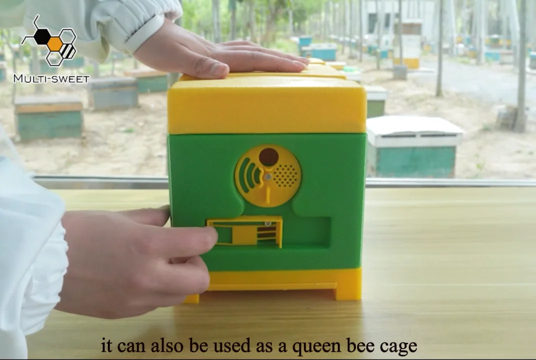 Green Bee Box Breeding Box Queen Rearing Nuc Beehive Beekeeper Supplies ...