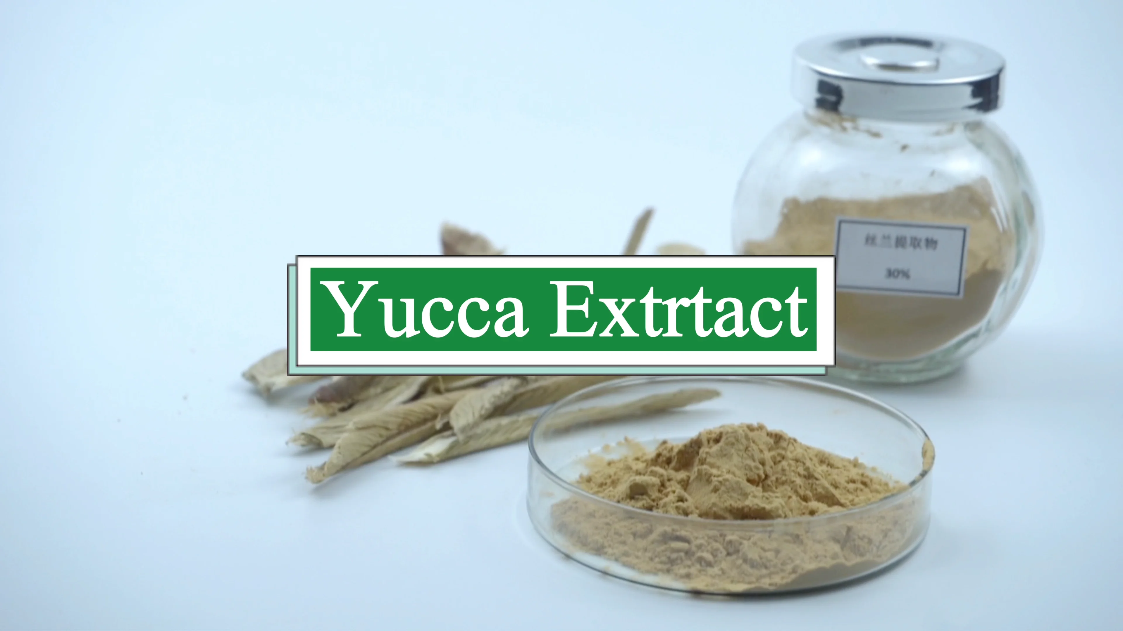 Natural Plant Manufacturer Feed Organic Yucca Schidigera Extract Powder ...