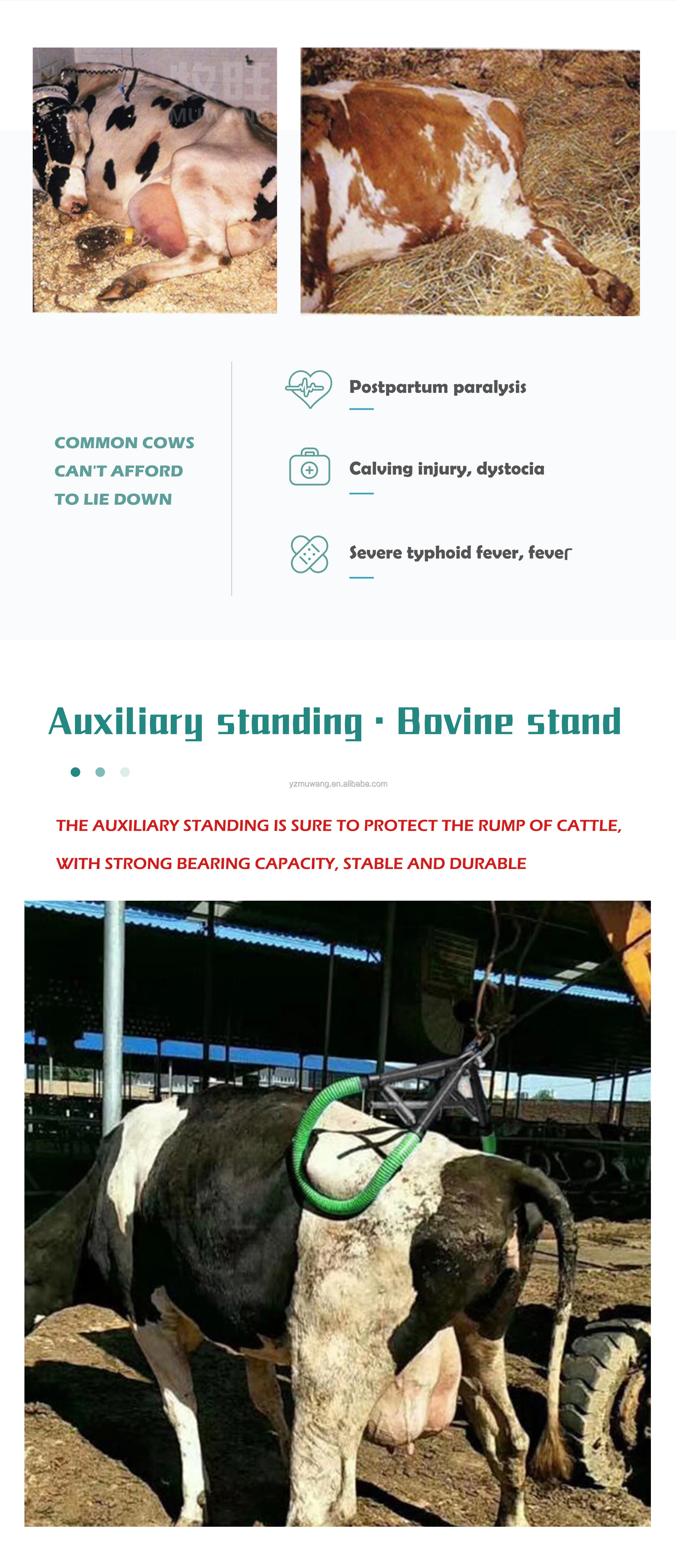 Factory Direct Sale Cattle Sling Cattle Lifting Frame Veterinary ...