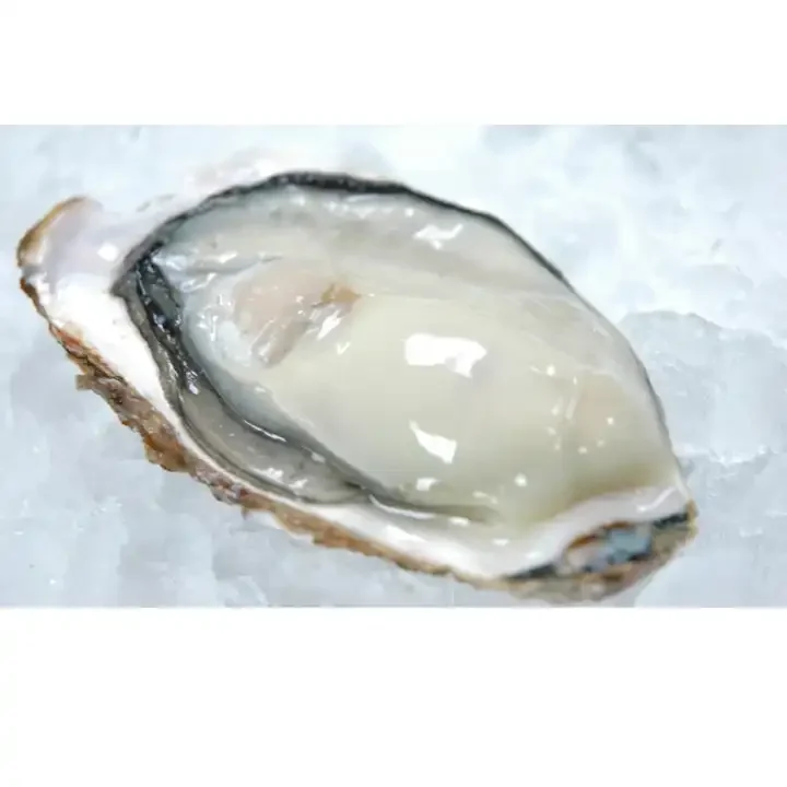 Shellfish Bulk Wholesale Japanese Seafood Buy Nutrition Facts Frozen ...