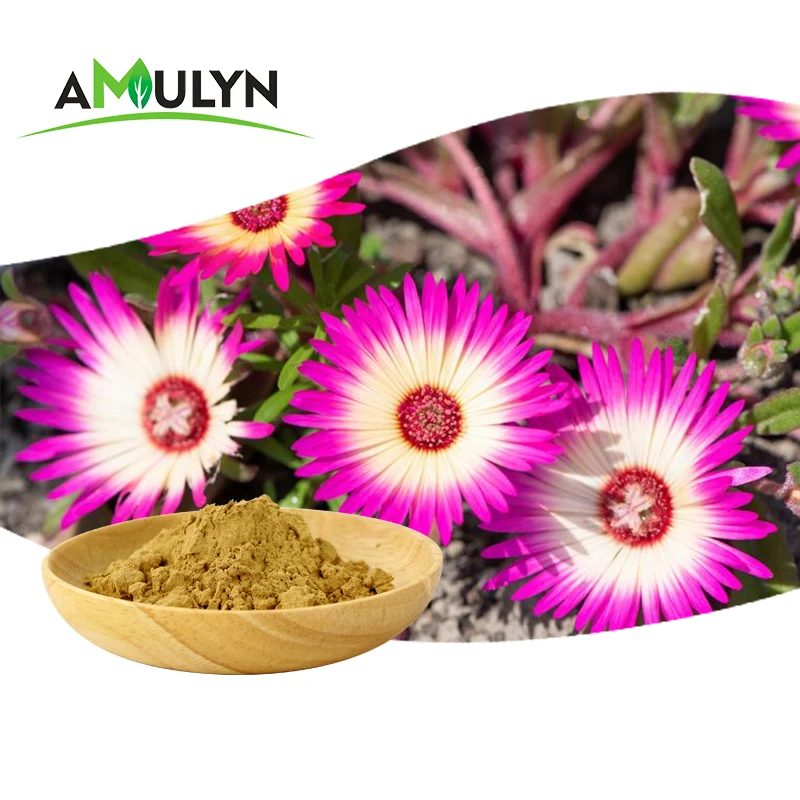 AMULYN Pure Kanna Powder - Sceletium Tortuosum Extract